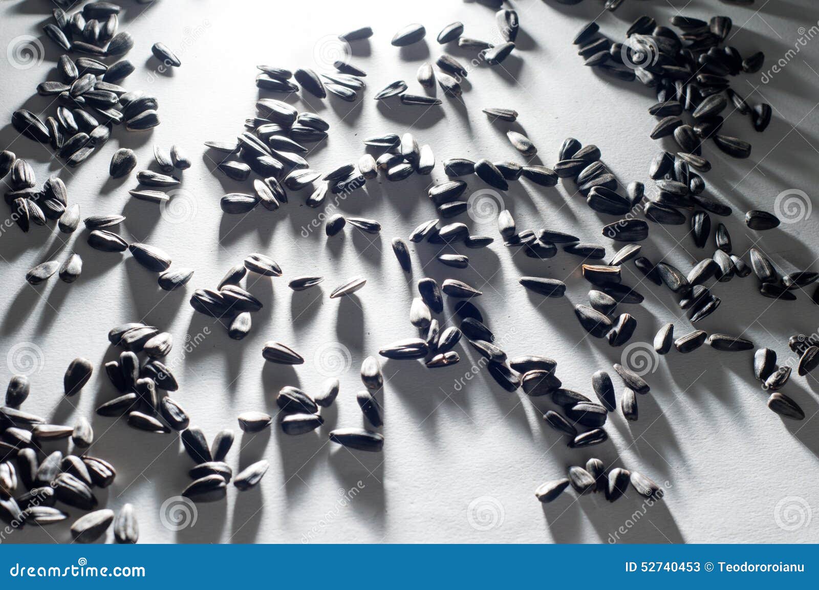 Seeds and shadows stock image. Image of cultivate, color - 52740453