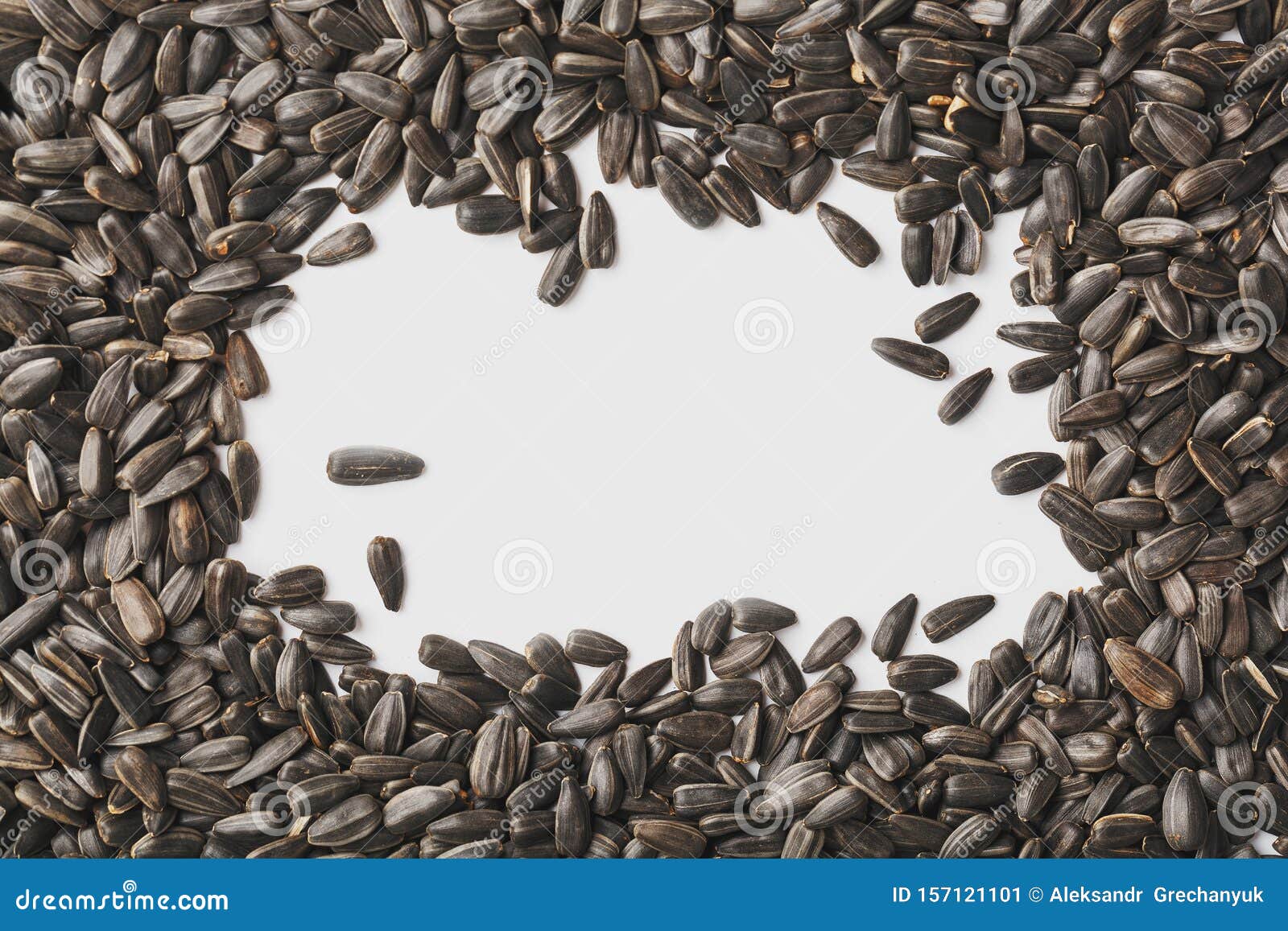 Seeds in the Shell - in the Form of a White Background Frame in the ...