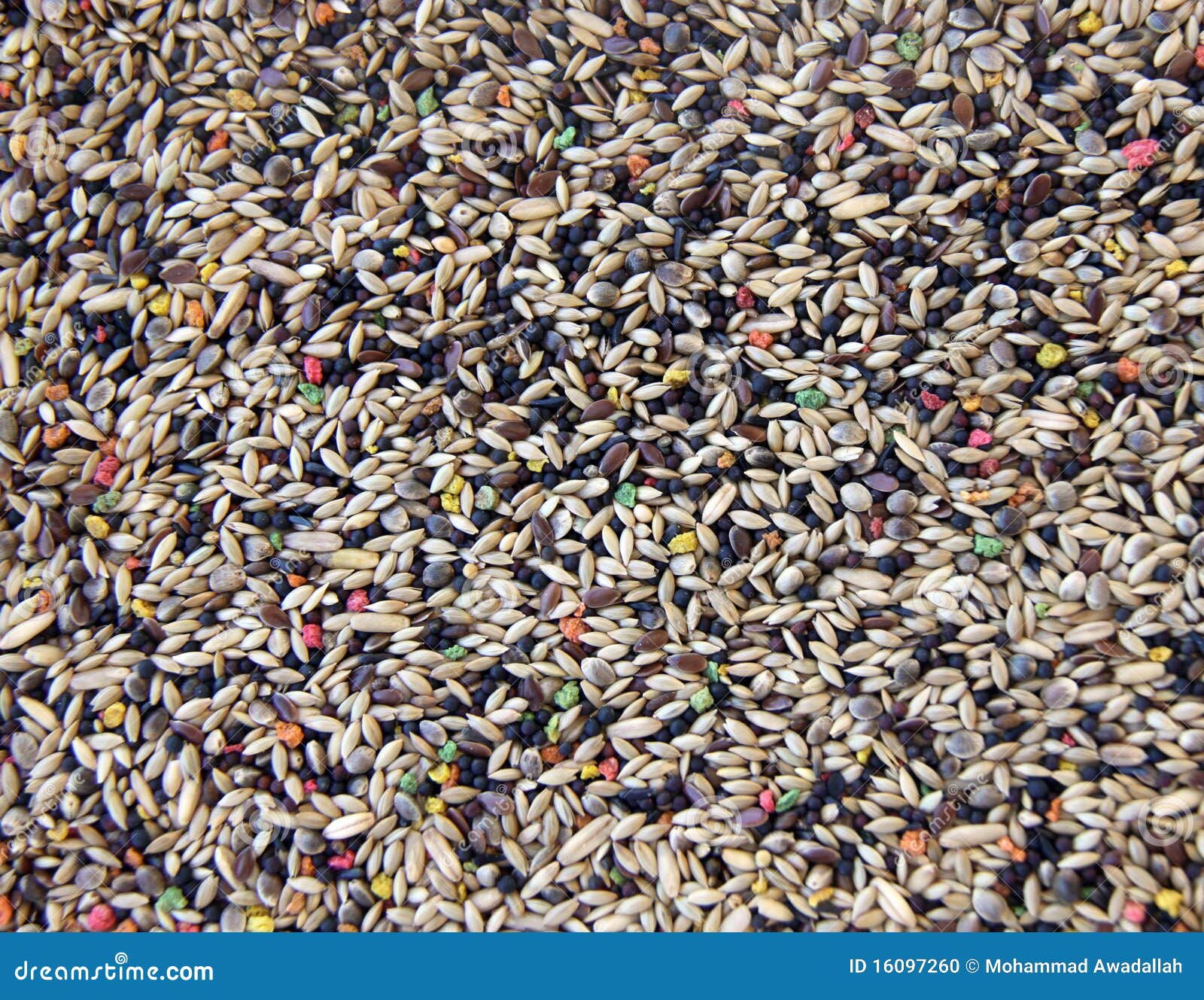 Seeds texture stock photo. Image of cereal, bean, organic - 16097260