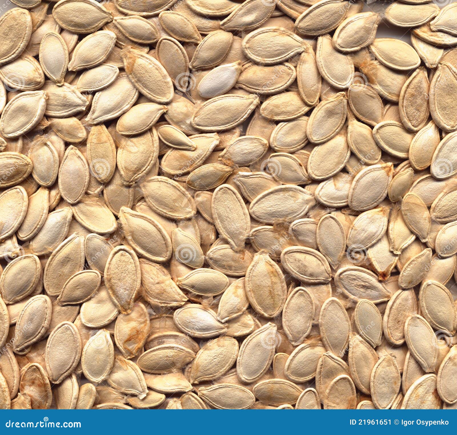 Seeds texture stock image. Image of snack, health, organic - 21961651