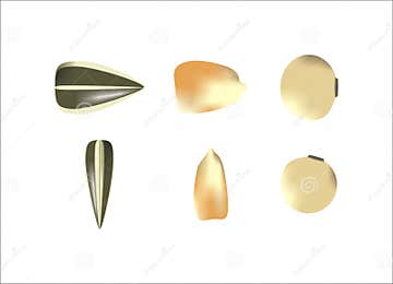 Seeds, vector stock vector. Illustration of grain, grow - 4622275