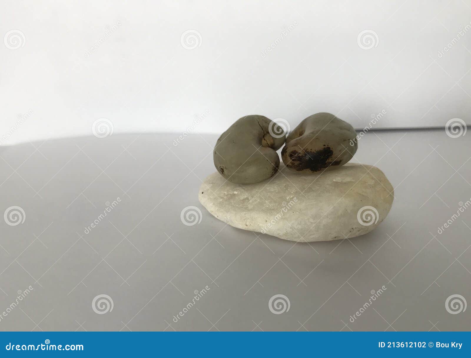 The Seeds is on the White Stone Stock Photo - Image of 2021, laken ...