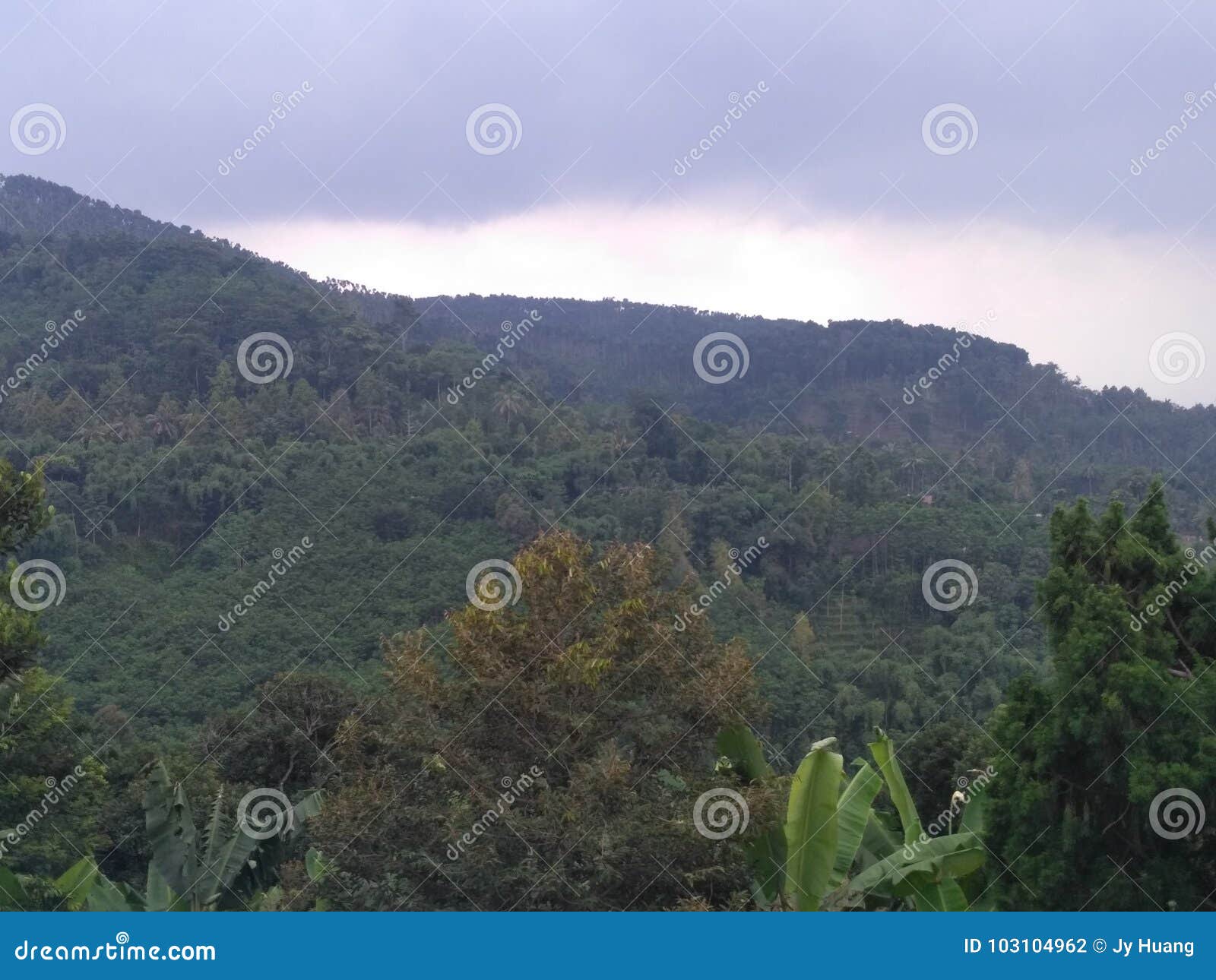 Seeee Stock Photos - Free & Royalty-Free Stock Photos from Dreamstime