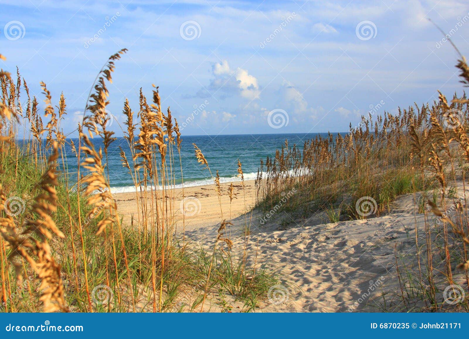 Seehafer und -strand stockbild. Bild von himmel, sand - 6870235