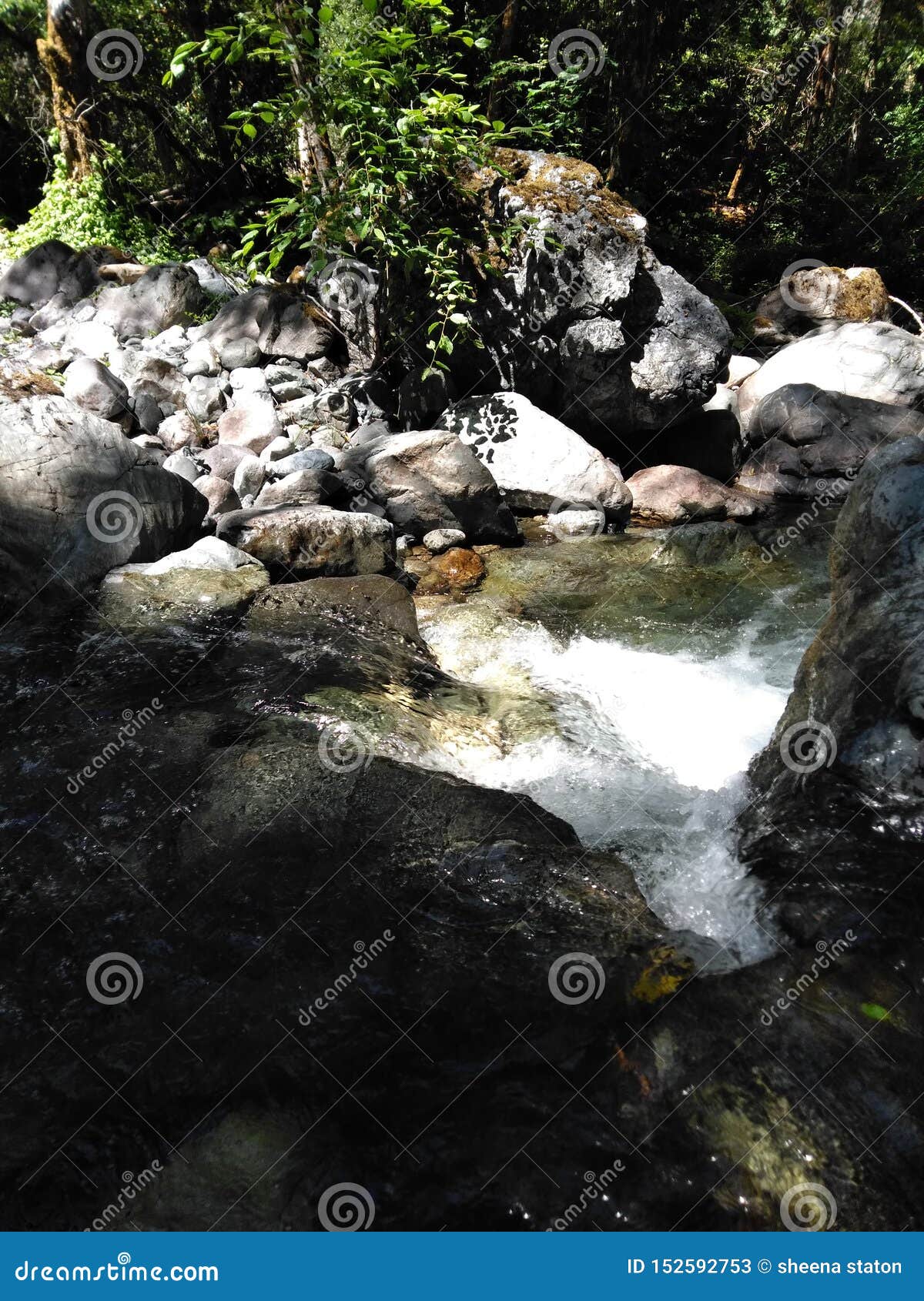 Seeing a the Water Falling from the Top Stock Image - Image of fluffy ...