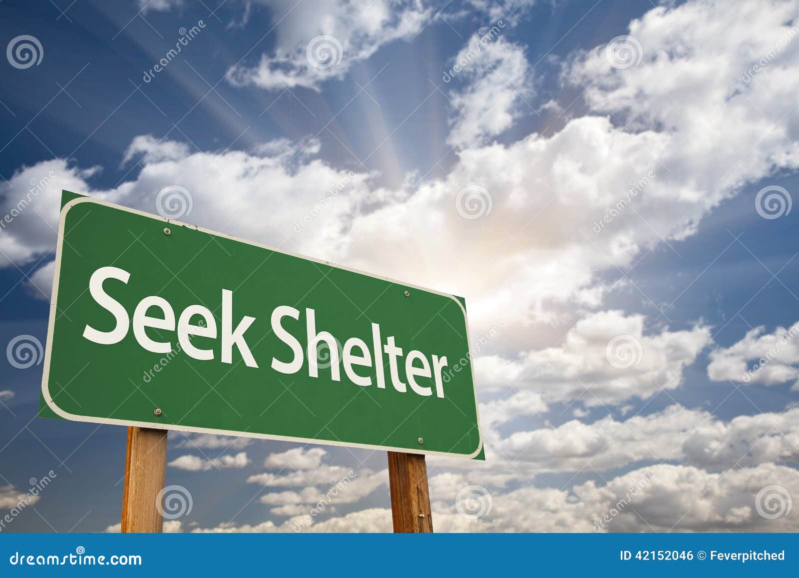 Seek Shelter Green Road Sign Stock Photo - Image of preserve, choice ...