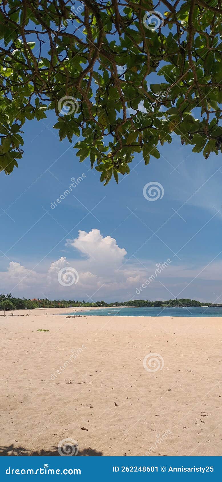 Seeking Shade Under the Tree Stock Image - Image of beach, white: 262248601
