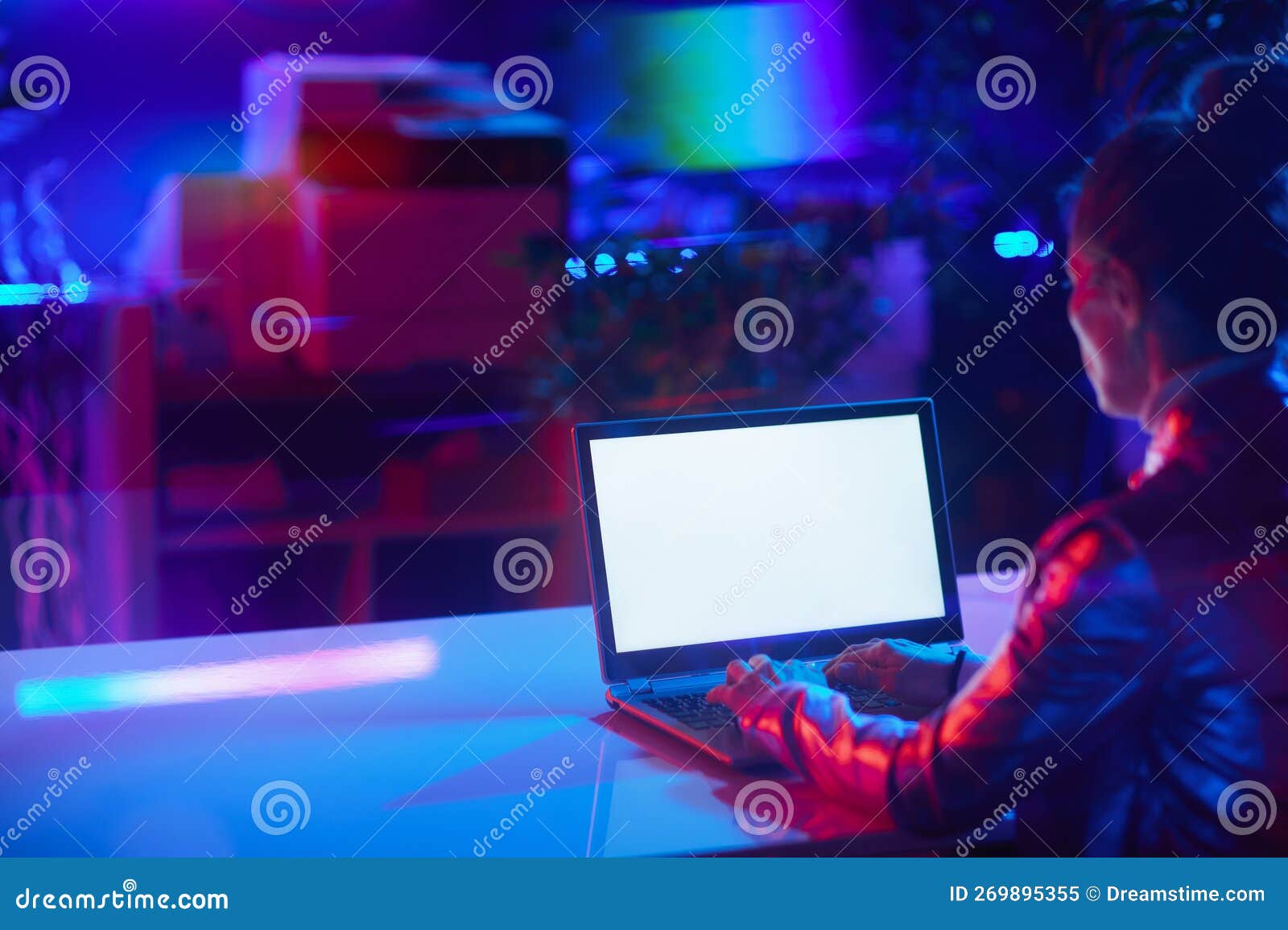 Seen from Behind Modern Woman with Laptop Blank Screen Stock Image ...