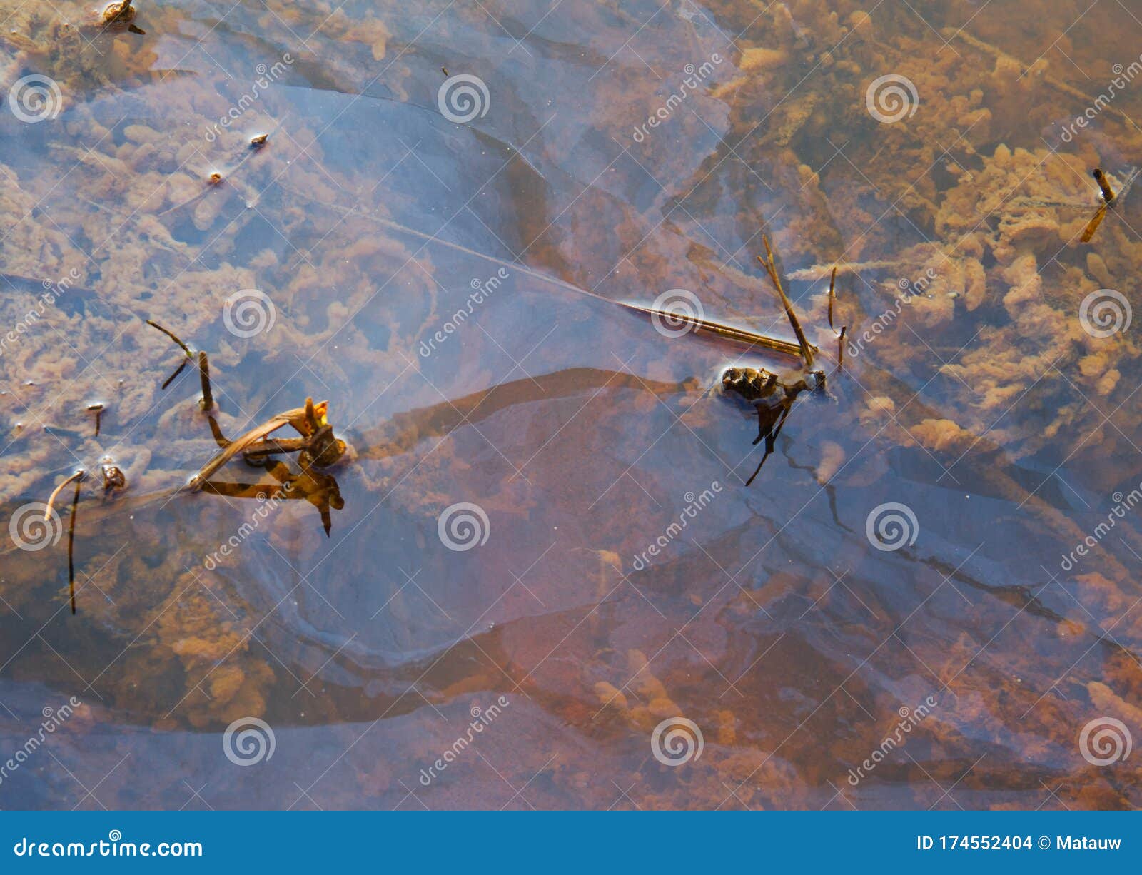 Seepage of Iron Rich Groundwater in a River Stock Photo - Image of ...