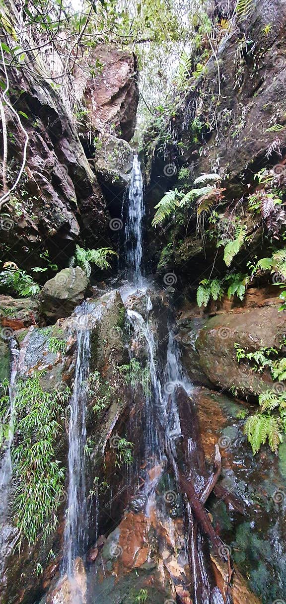 Seeping water views stock image. Image of river, seeping - 213221201