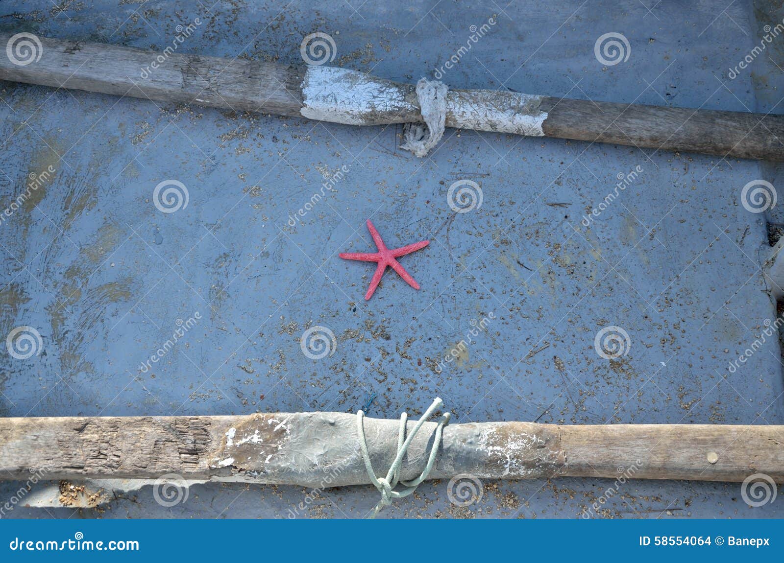 Seestern Und -paddel Im Boot Stockfoto - Bild von strand, lieferung ...