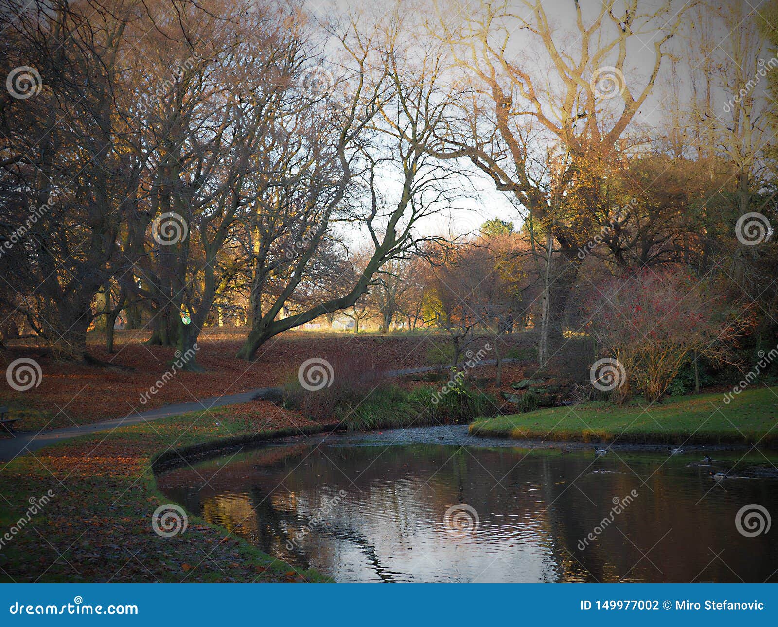 Sefton Park - Beautiful Autumn, Leaves Fall from Trees Stock ...