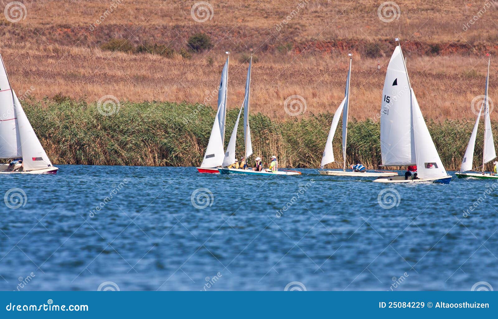 Segelbootrennen Auf Einer Verdammung Stockbild - Bild von segel, mast ...