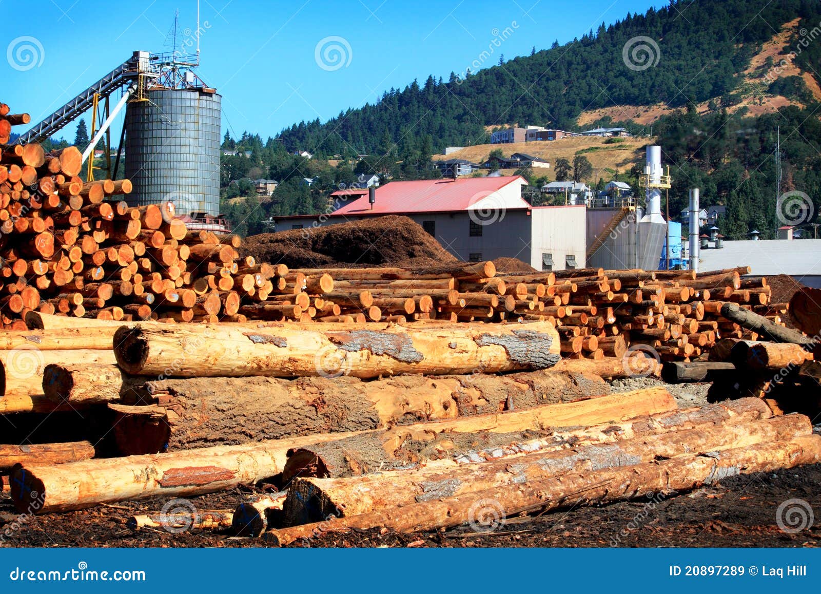 Segheria moderna immagine stock. Immagine di silvicoltura - 20897289