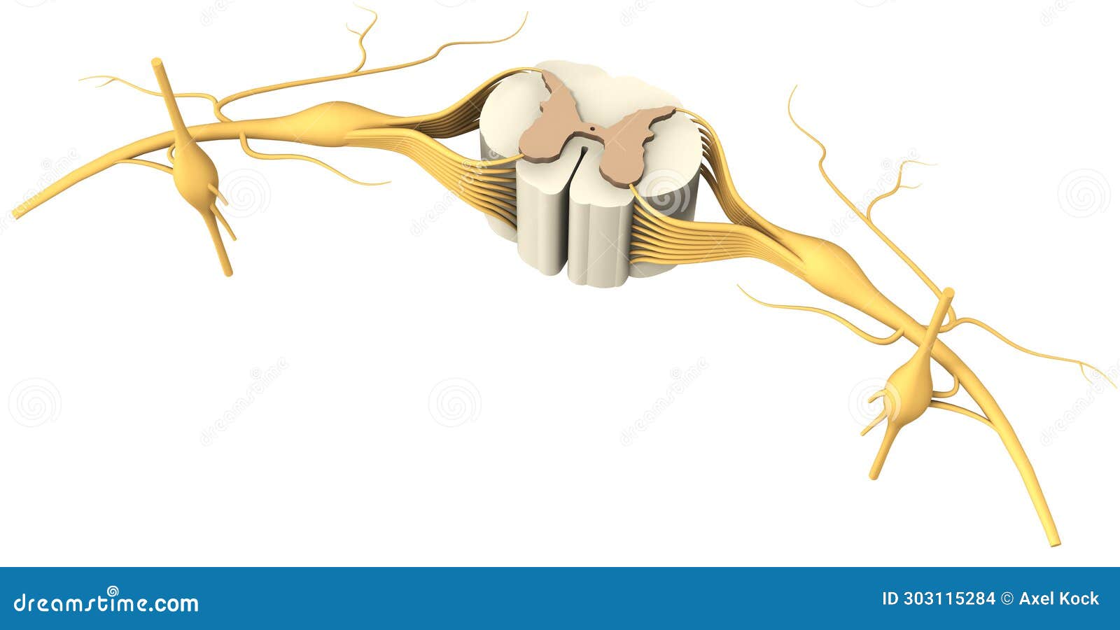 Bone Conduction Headphones Isolated On White Background. Wireless Audio ...