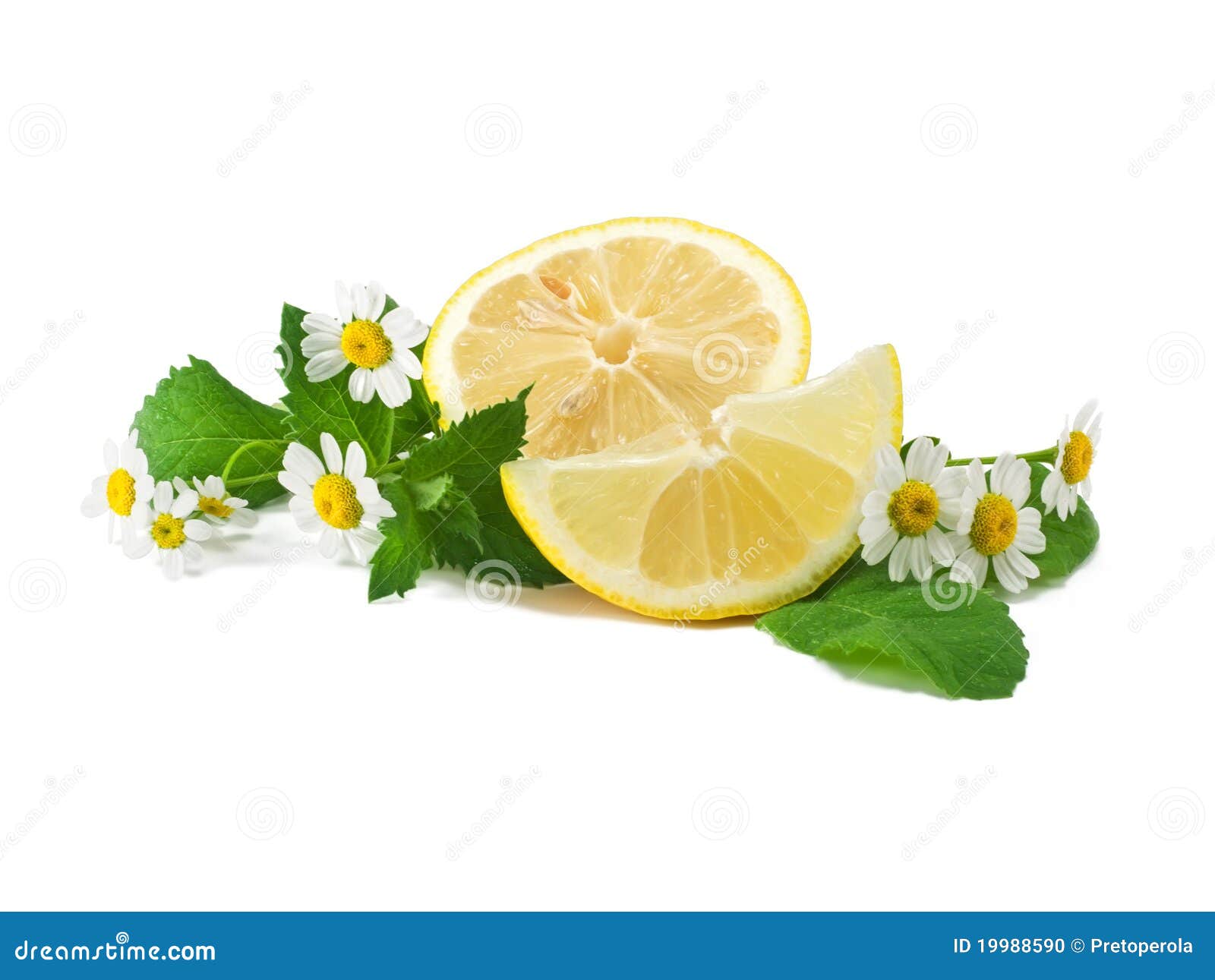 Segments of lemon stock photo. Image of spice, objects - 19988590