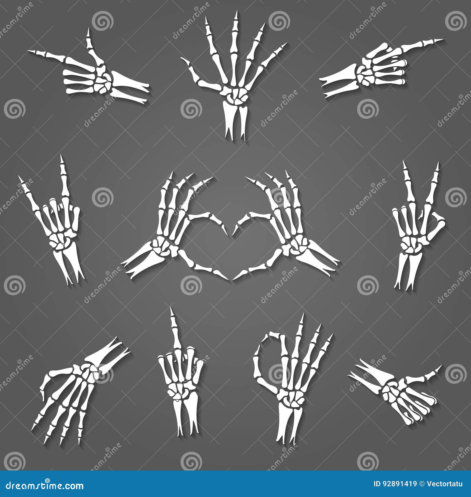 Segni Di Scheletro Della Mano Illustrazione Vettoriale - Illustrazione ...