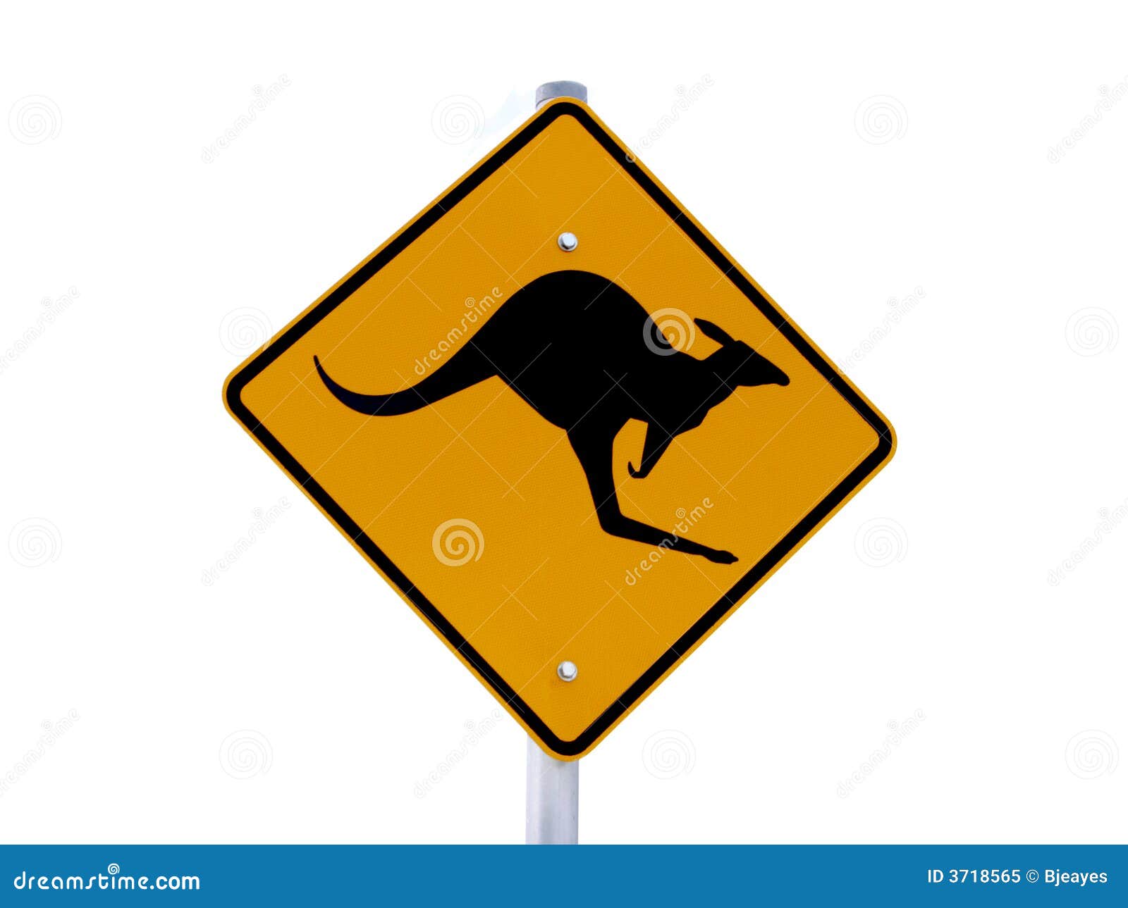 Segno del canguro immagine stock. Immagine di strada, marsupiale - 3718565