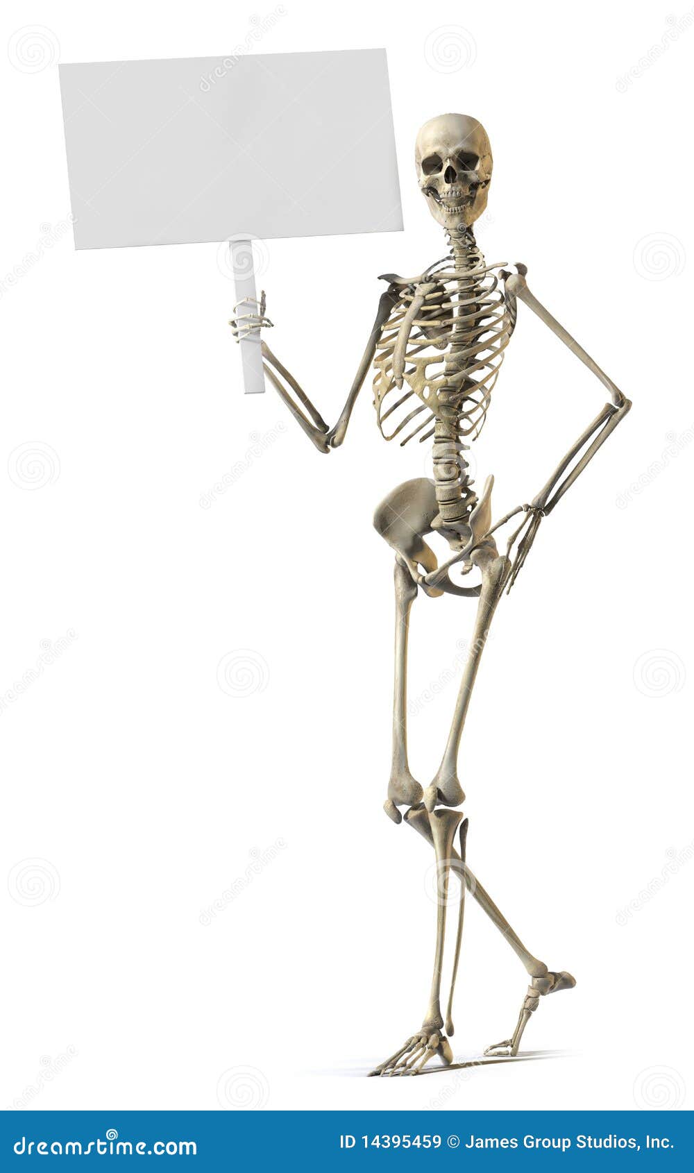 Segno Di Scheletro Della Holding Immagine Stock - Immagine di finestra ...