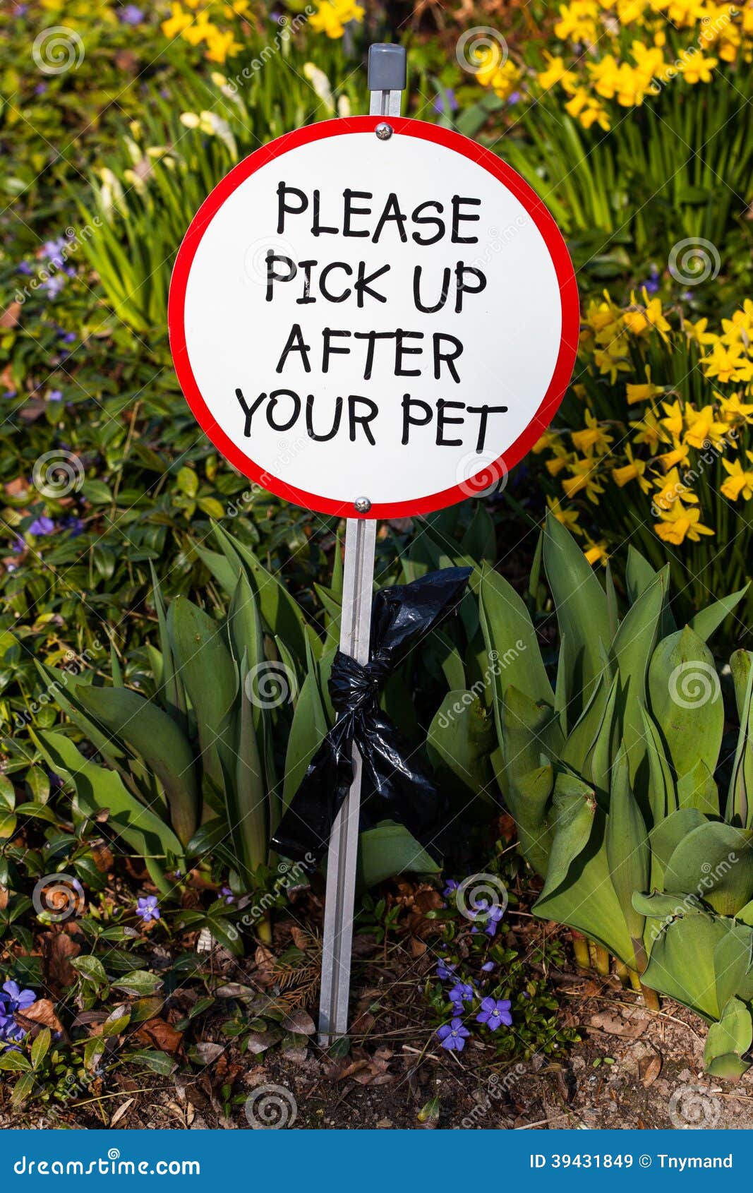 Segno Gentile Della Merda Di Cane Immagine Stock - Immagine di ...