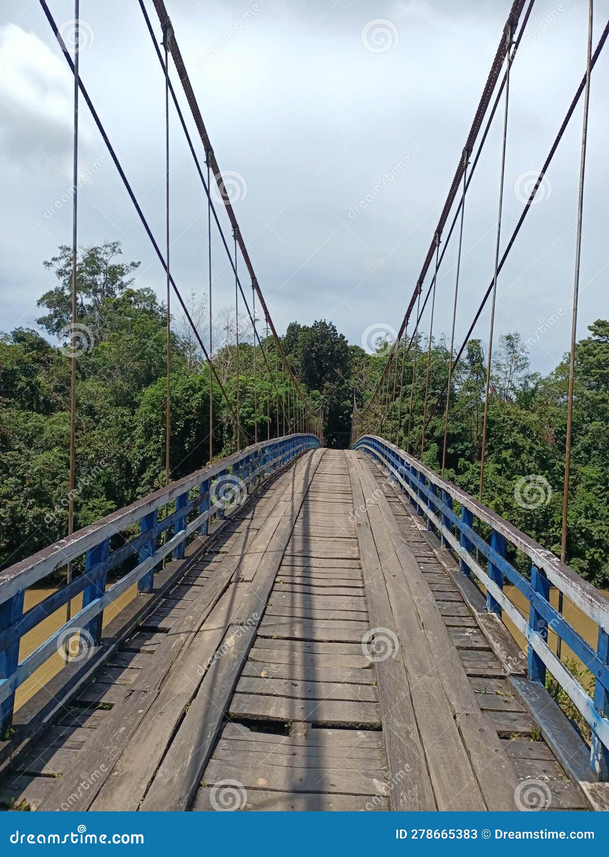 Sei Teweh Bridge in the Village of Hajak Editorial Stock Photo - Image ...