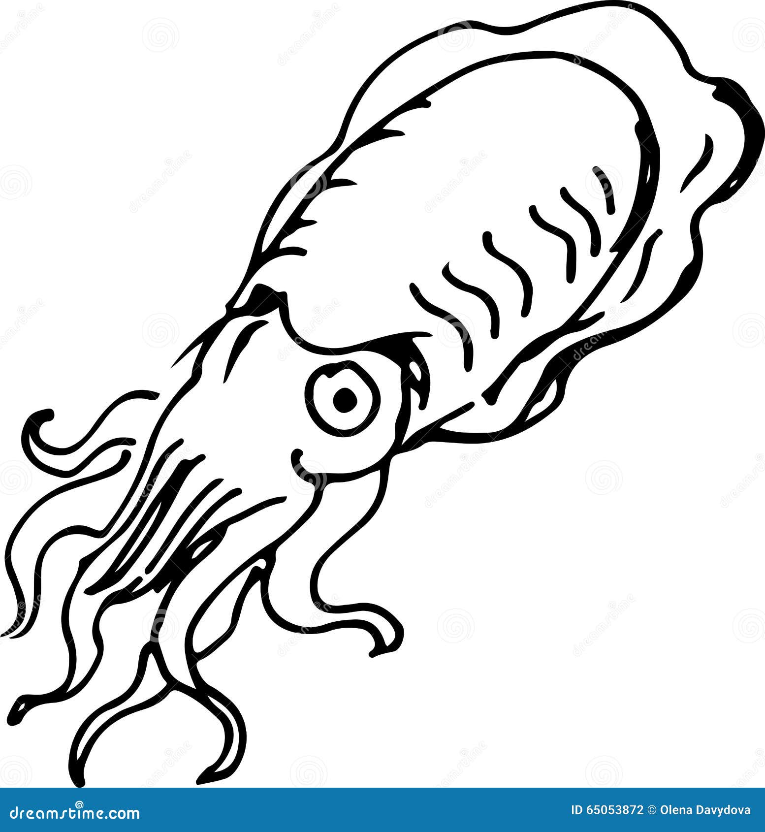 Seiches Illustration De Vecteur Illustration de Vecteur - Illustration ...