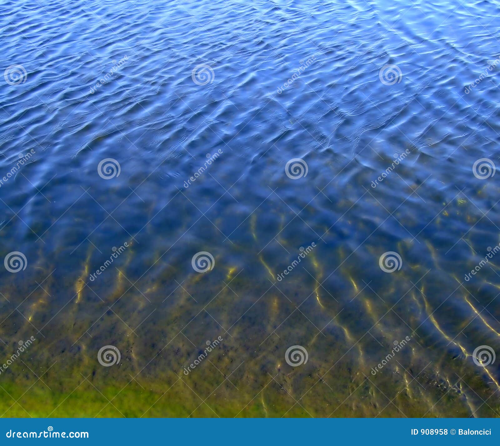 Seichtes Wasser stockfoto. Bild von tief, frisch, welle - 908958