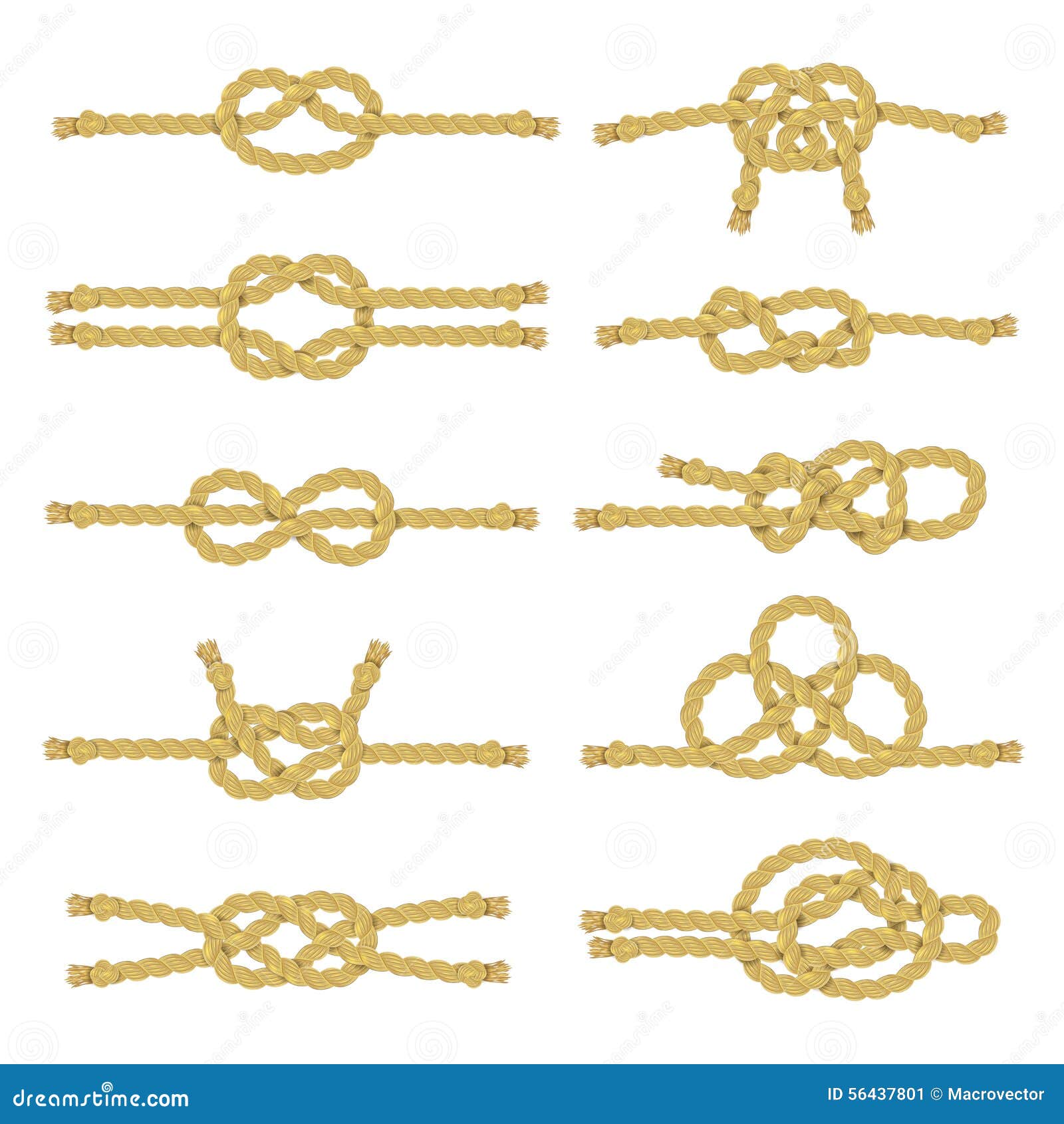 Seil-Knoten-dekorativer Ikonen-Satz Vektor Abbildung - Illustration von ...