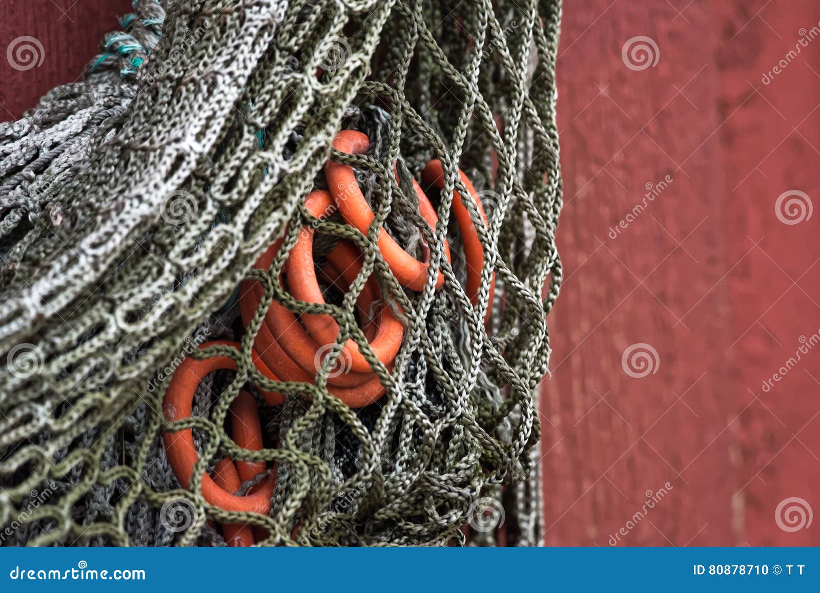 Seine stock photo. Image of trap, seine, pattern, fishery - 80878710