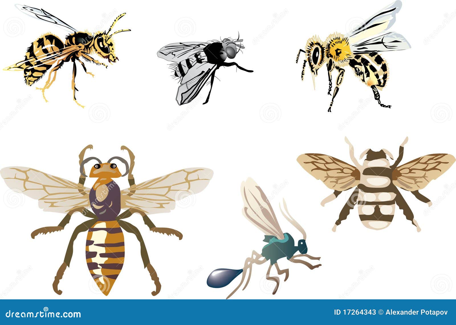Seis insectos con las alas ilustración del vector. Imagen de vuelo ...