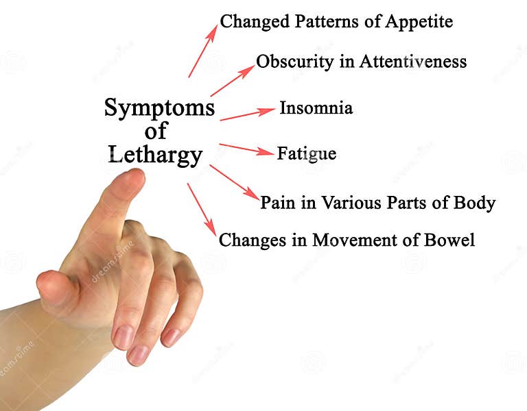Seis sintomas de letargia foto de stock. Imagem de apetite - 179366158