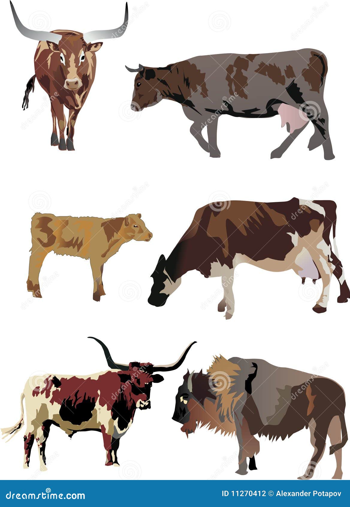 Seis Toros Y Vacas Del Color Ilustración del Vector - Ilustración de ...