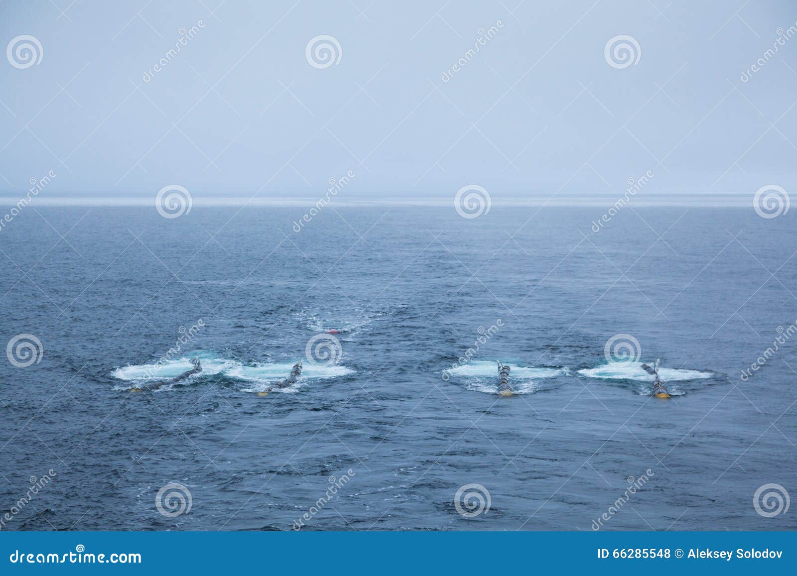 Seismic Air Gun Stock Photos - Free & Royalty-Free Stock Photos from ...