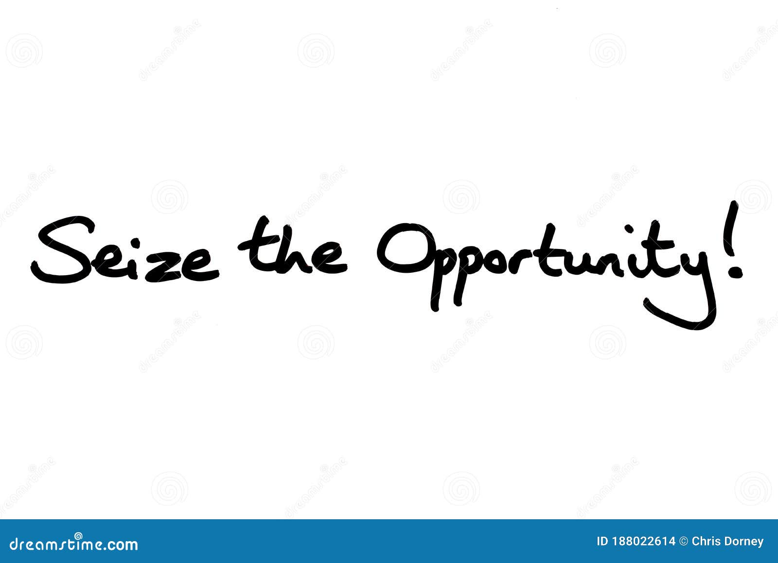 Seize the Opportunity stock illustration. Illustration of hope - 188022614