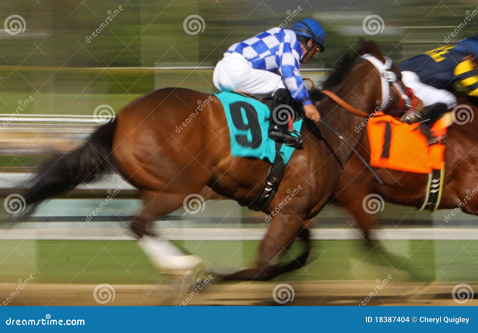 Monkey Rider Stock Photos - Free & Royalty-Free Stock Photos from ...