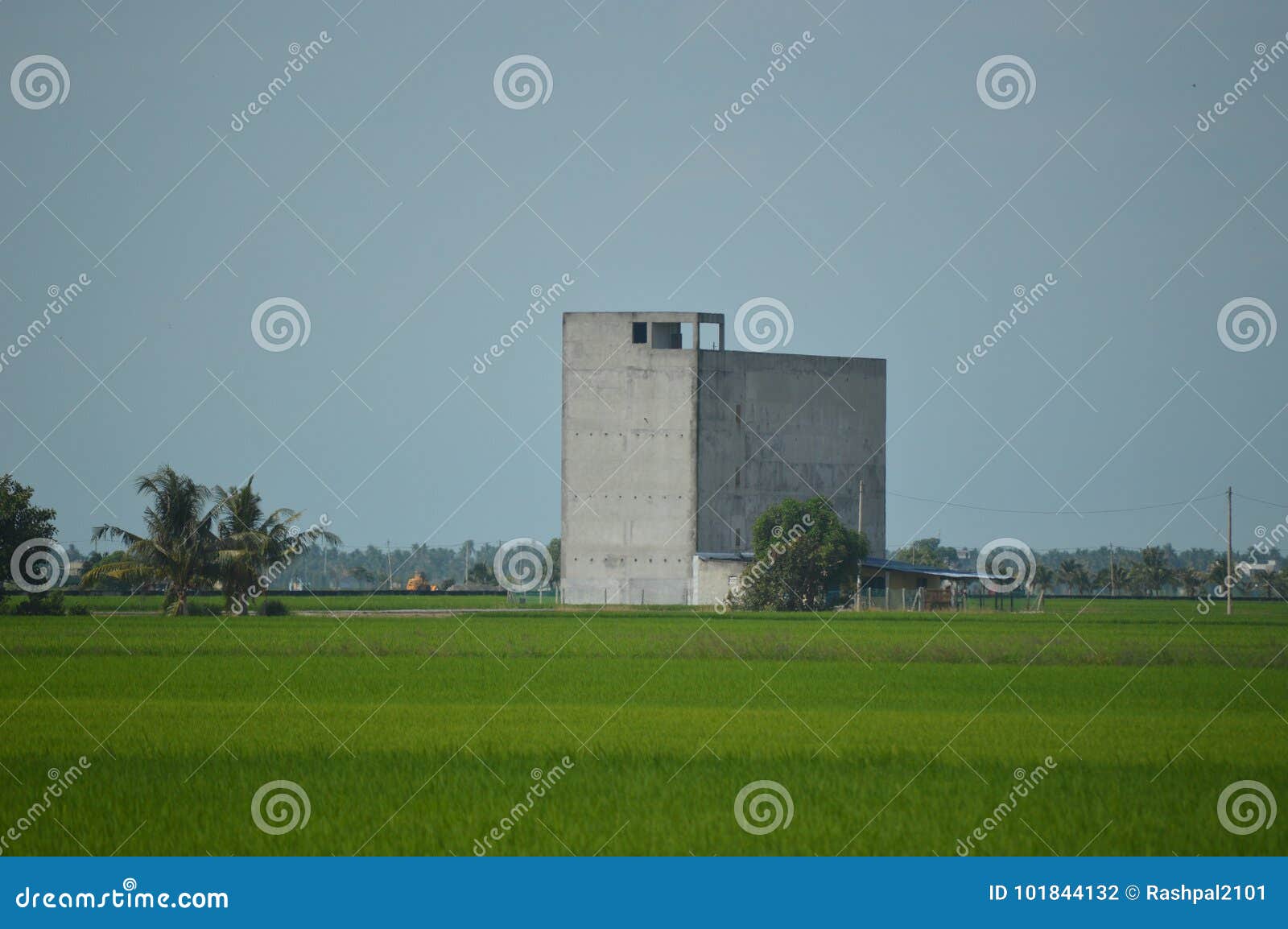 Sekinchan Padi Field photo stock. Image du vert, horizon - 101844132