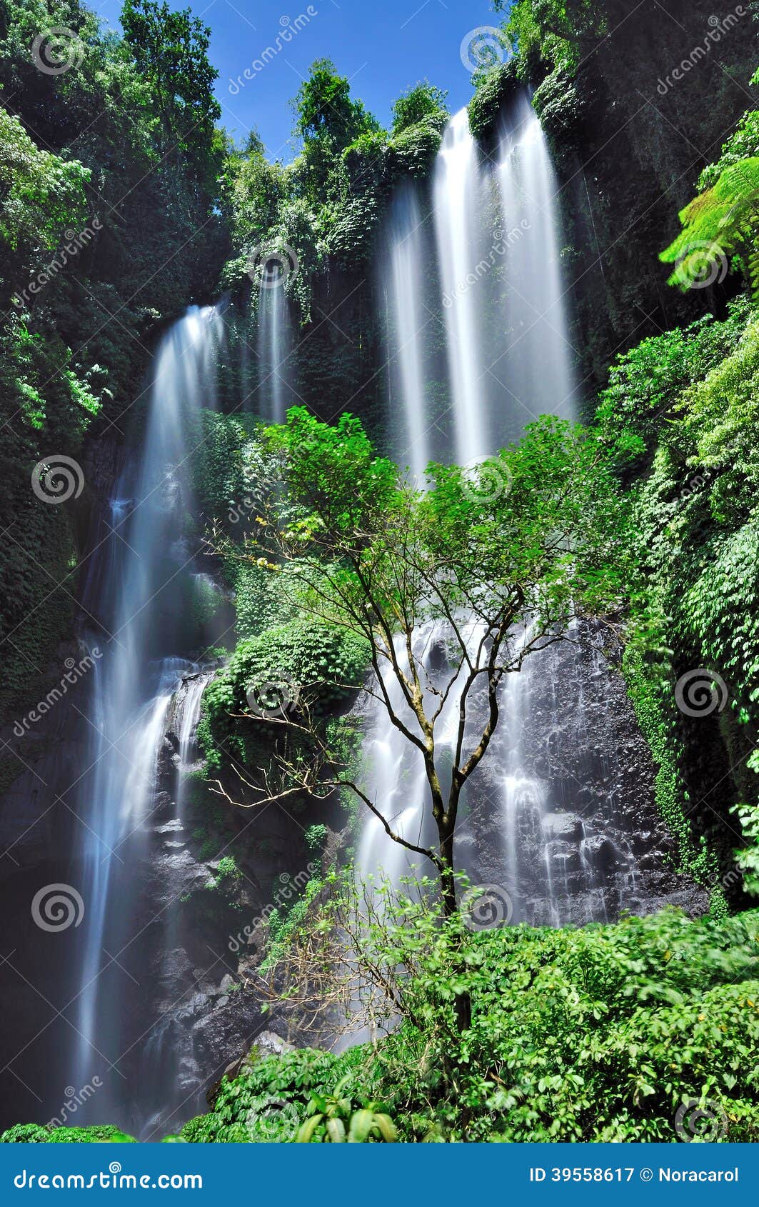 Sekumpul waterfall in Bali stock image. Image of long - 39558617