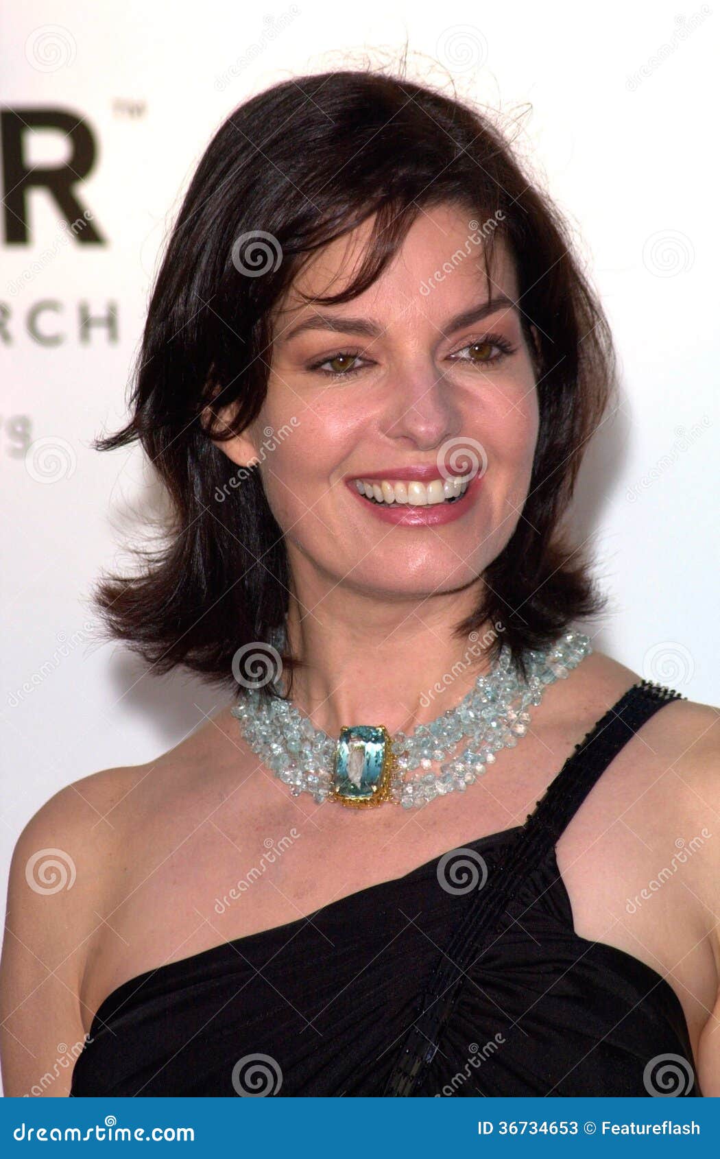 Sela Ward foto de stock editorial. Imagem de sela, actriz - 36734653