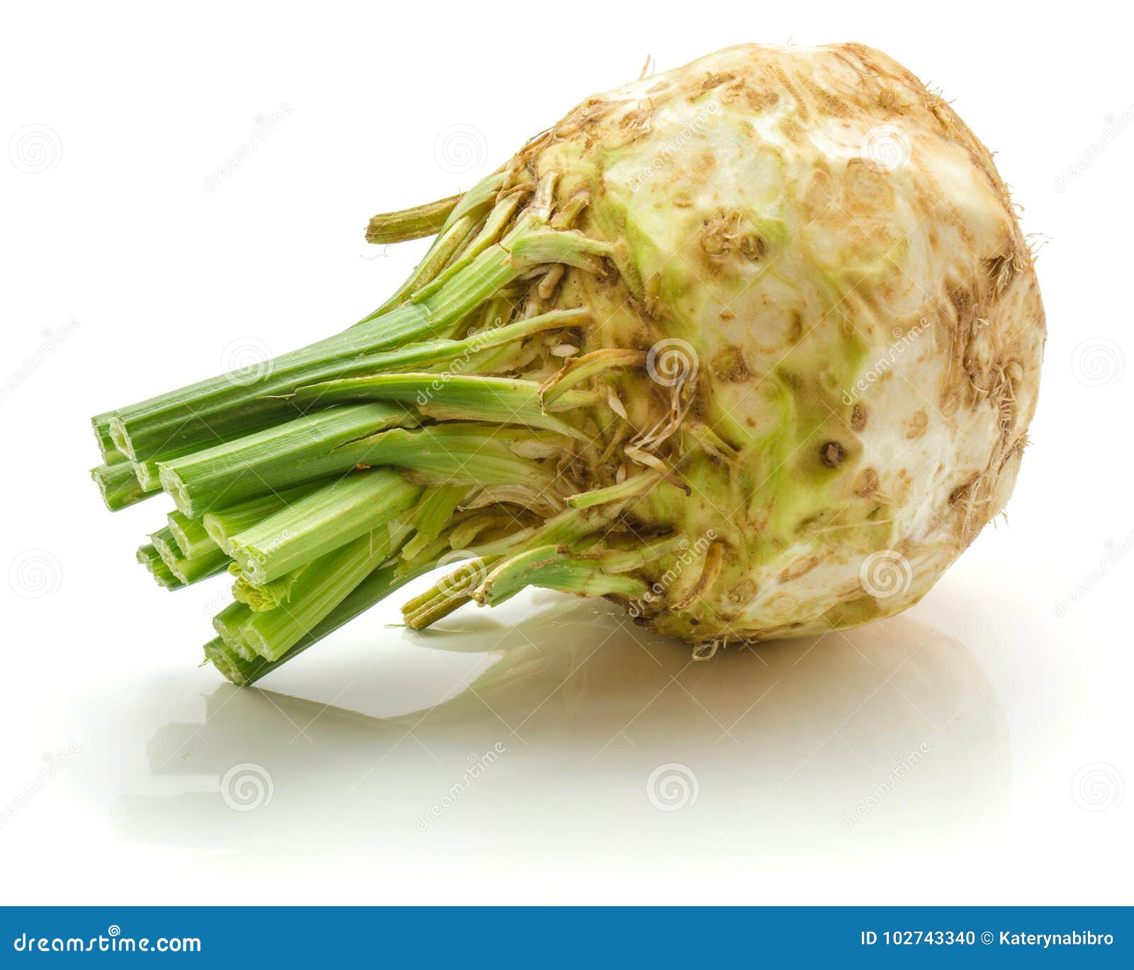 Selderie stock foto. Afbeelding bestaande uit close - 102743340