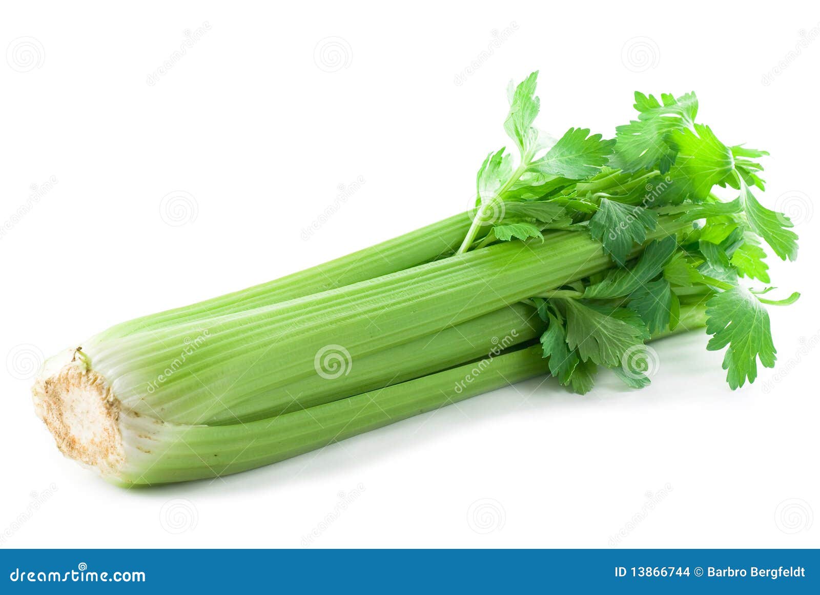 Selderie stock foto. Image of niemand, blad, ingrediënt - 13866744