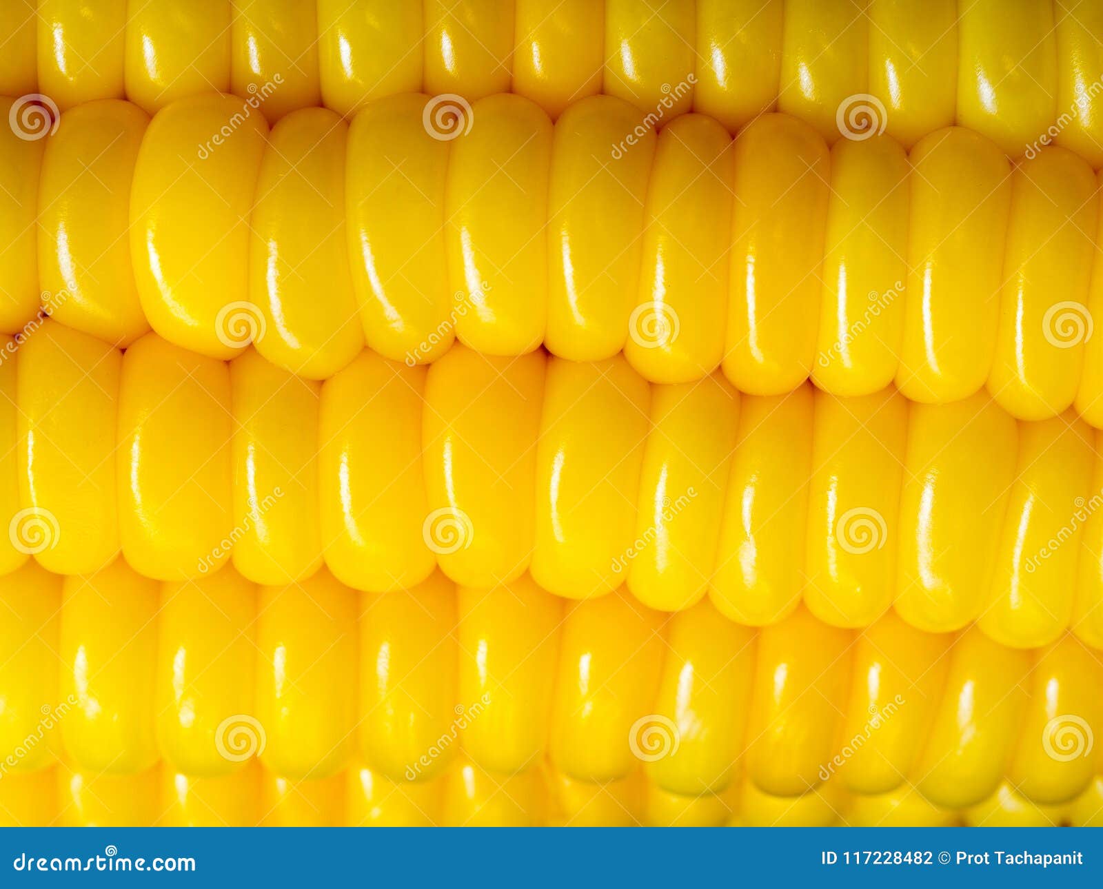 Select Focus of Yellow Corn. Nature for Texture Background Stock Photo ...