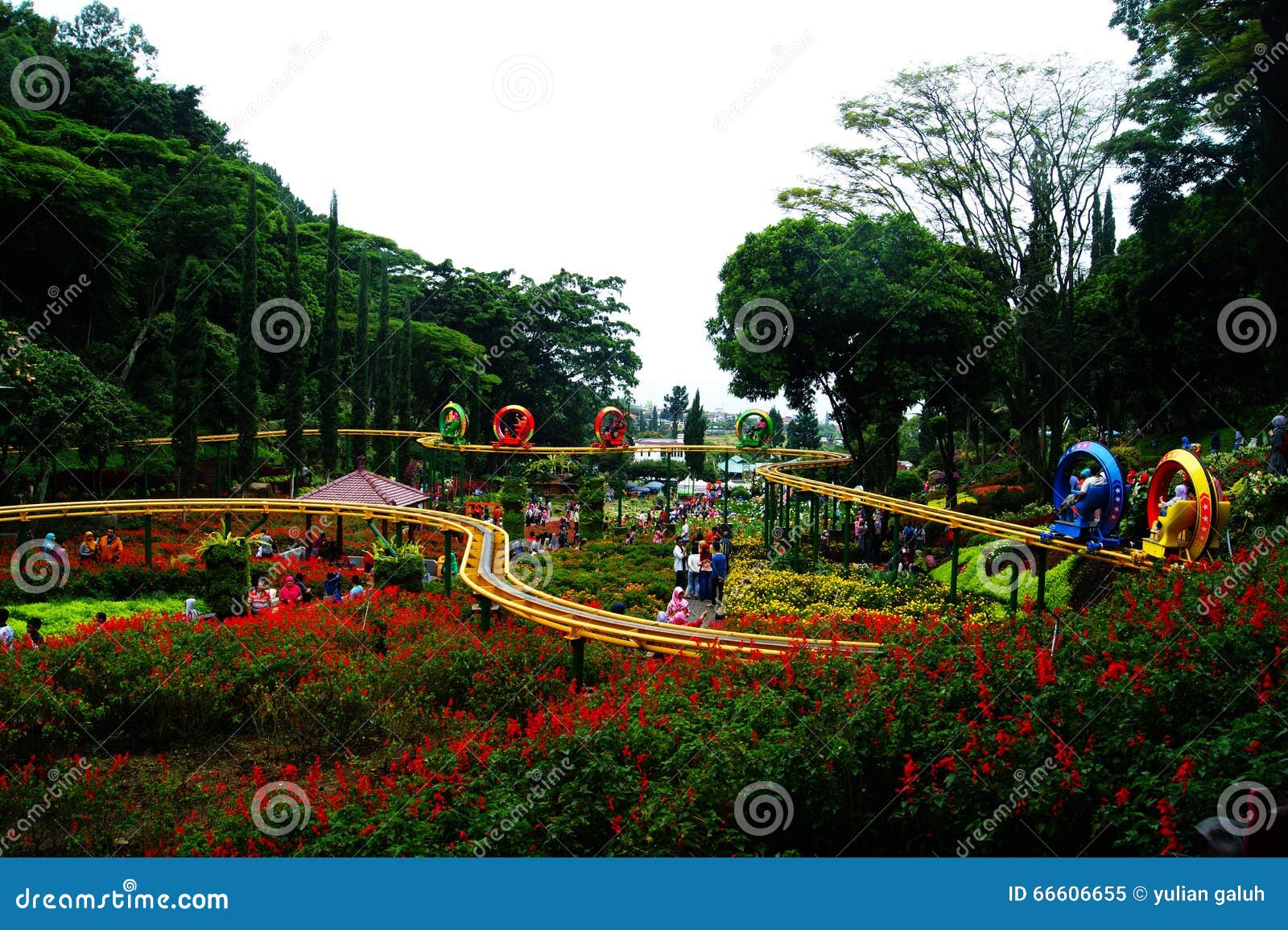 Selecta stock image. Image of timur, bunga, malang, jawa - 66606655