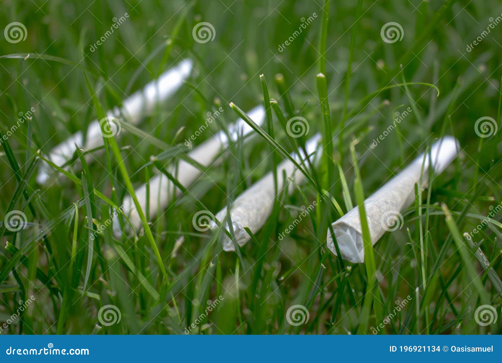 Selected Focus of Four Pre-Rolls Cannabis Joints Marijuana Weed on a ...