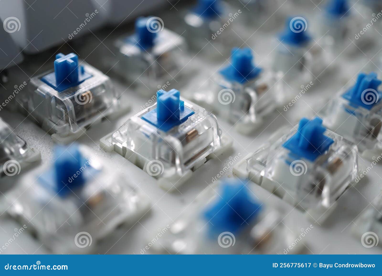 Narrow Depth of Blue Switch with Disassembled Mechanical Keyboard Game ...