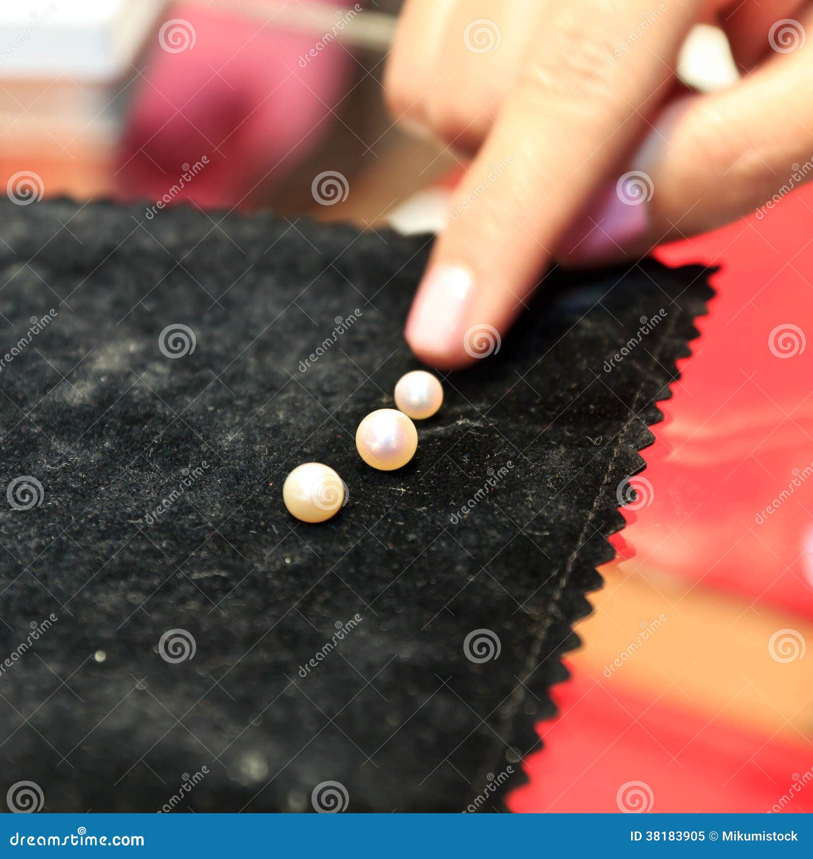 Selected many pearl stock image. Image of bivalve, ocean - 38183905