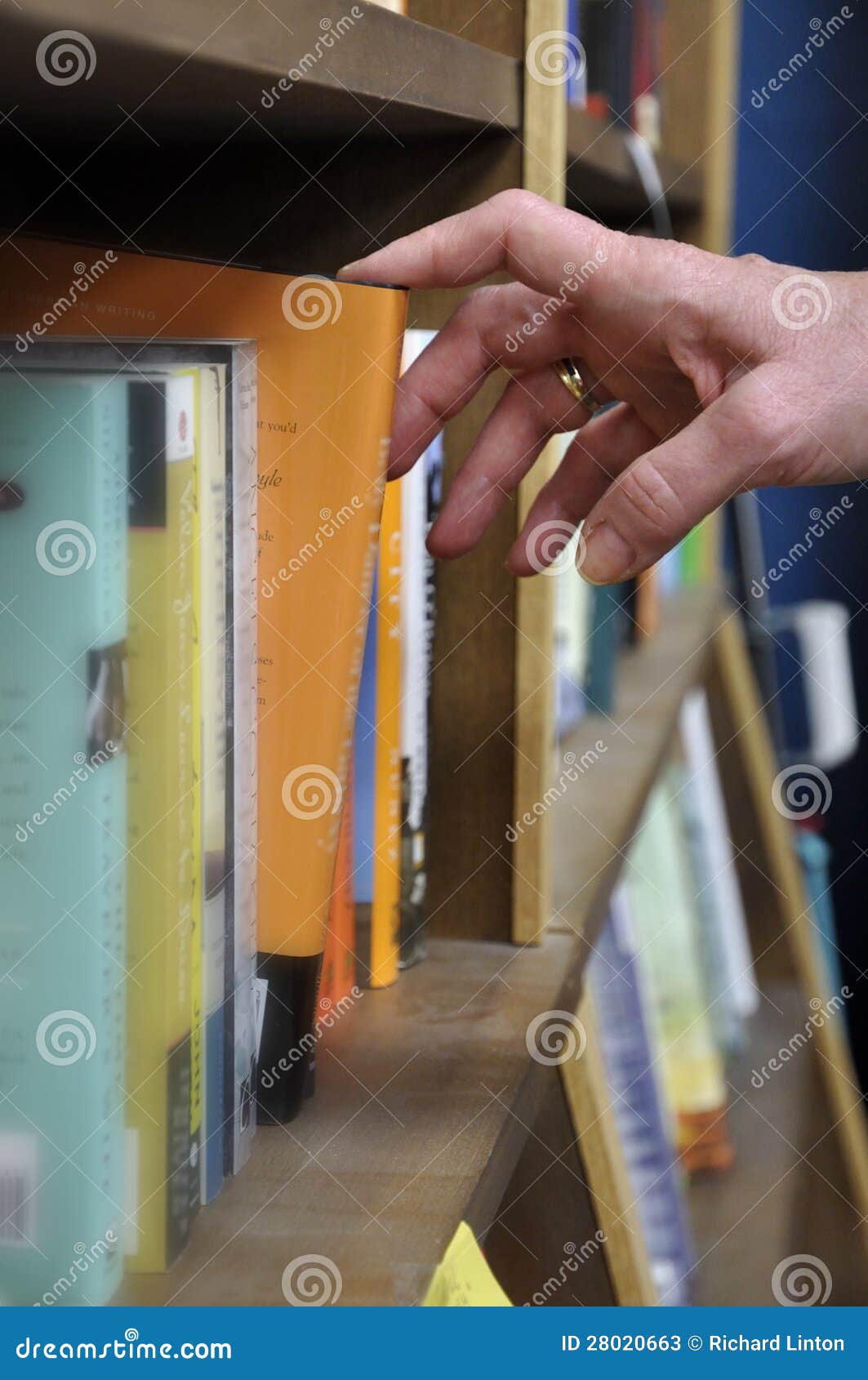Selecting book stock image. Image of reading, read, books - 28020663