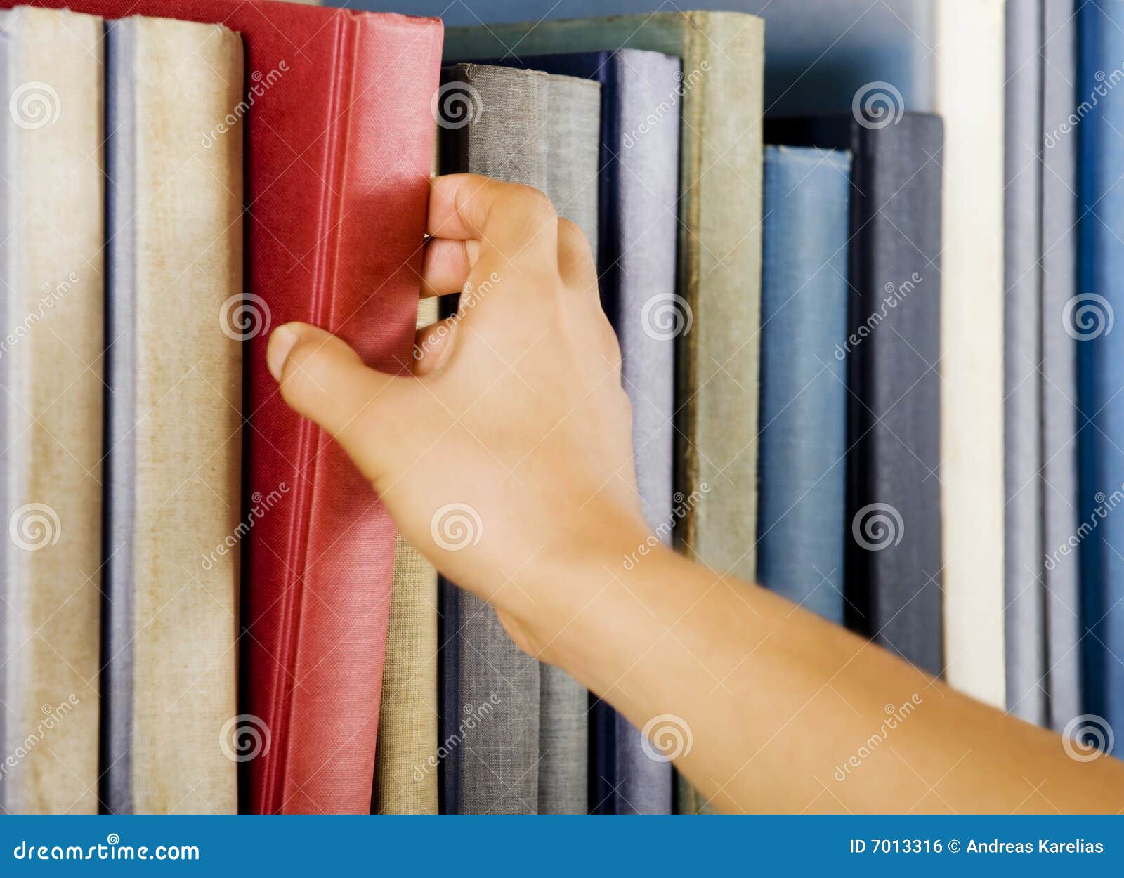 Selecting a book stock photo. Image of research, cover - 7013316