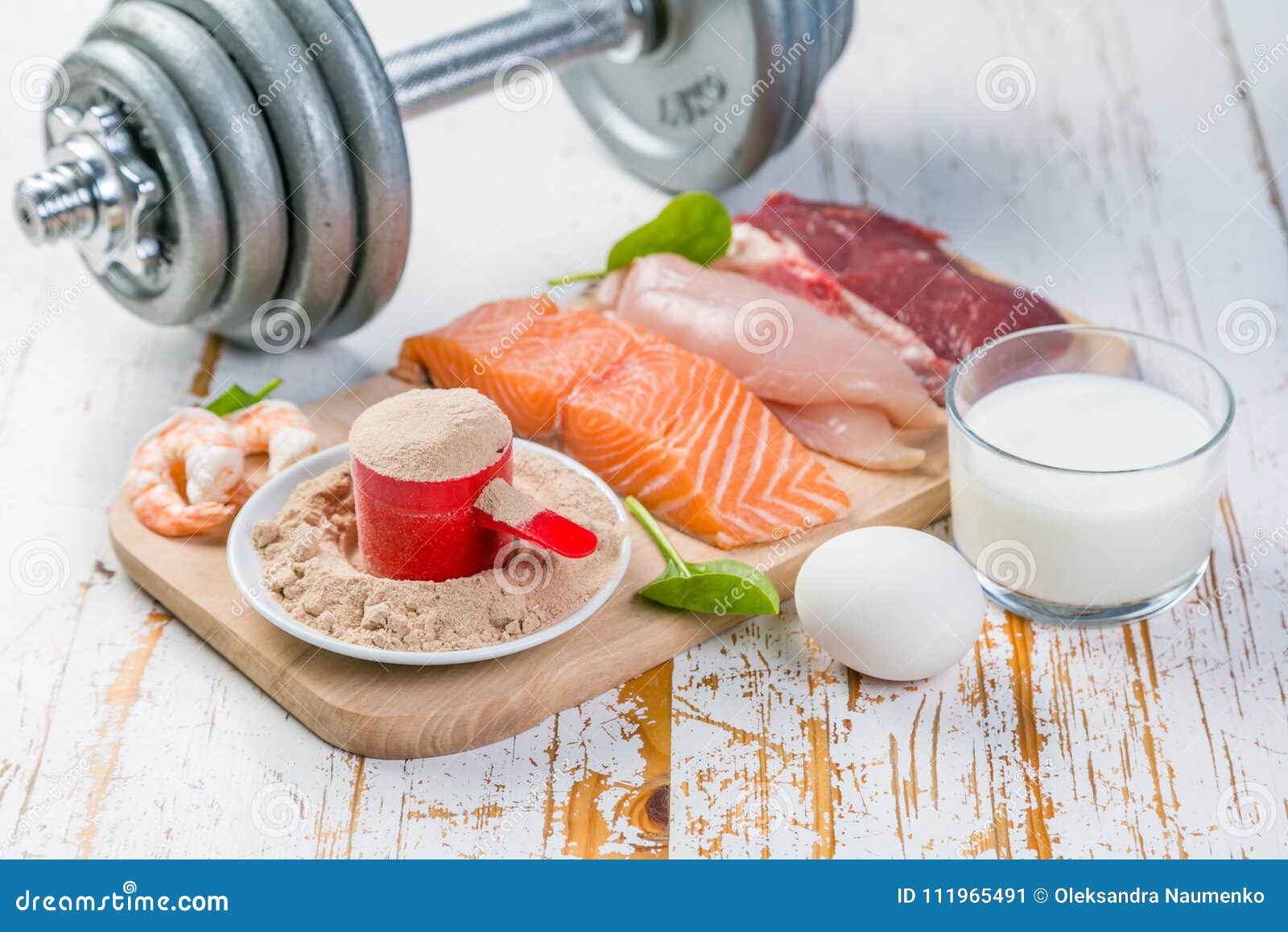 Selection of Animal Origin Protein Sources with Powder Protein Stock ...