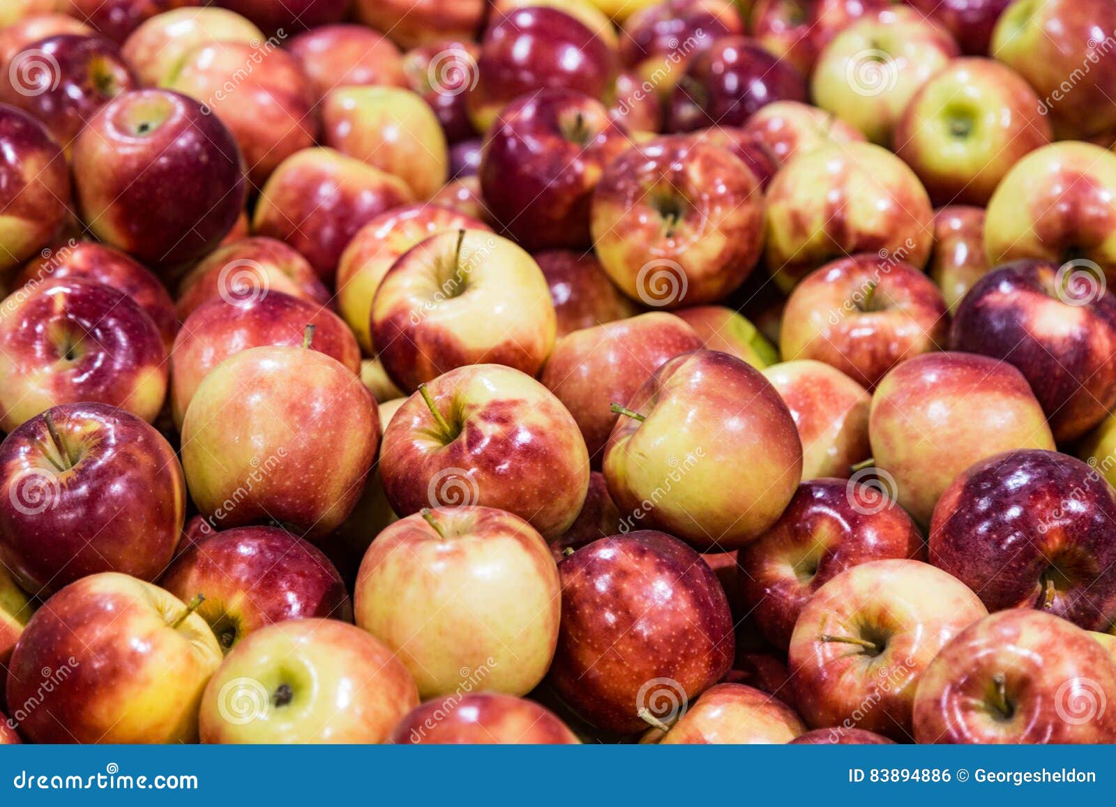 Selection of Apples on Display Stock Photo - Image of produce, fresh ...