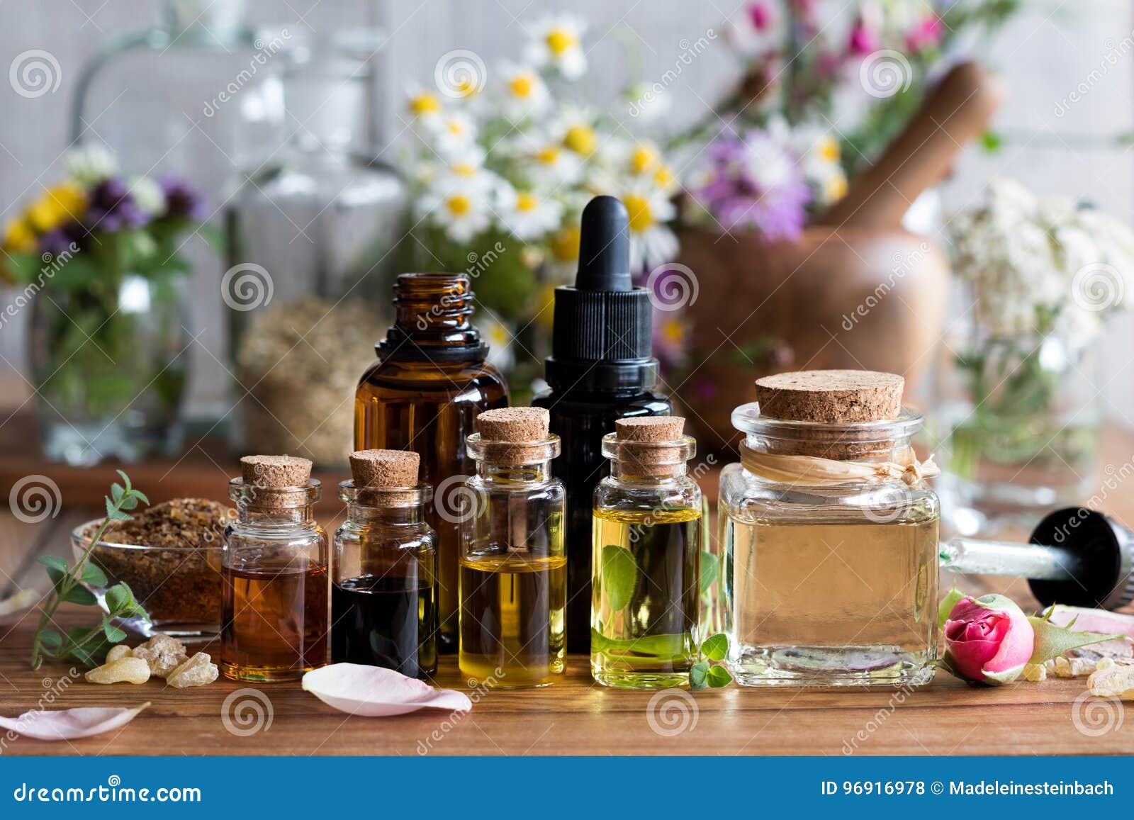 Selection of Essential Oils with Various Herbs and Flowers Stock Photo ...